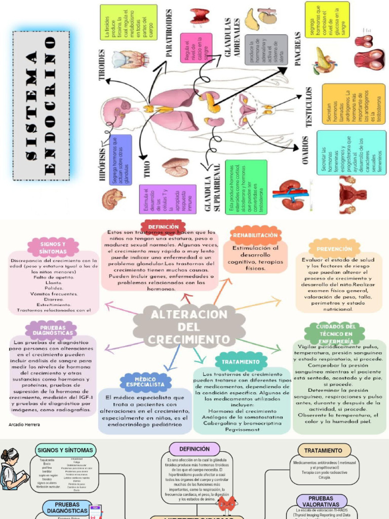 Enfermedades Del Sistema Endocrino | PDF