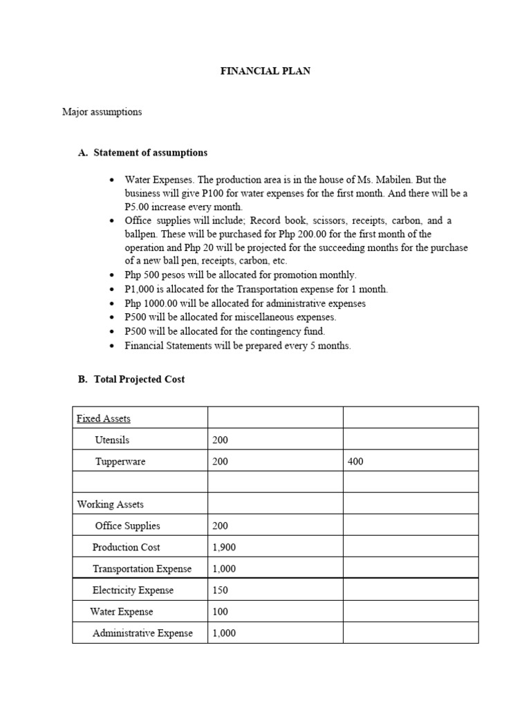 Financial Plan | PDF