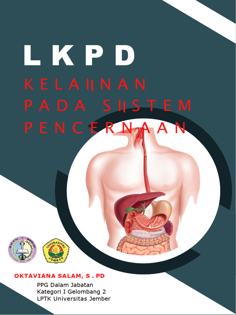 LKPD Sistem Pencernaan | PDF | Kesehatan Holistik