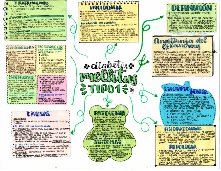 Diabetes Mellitus Tipo 1 | PDF