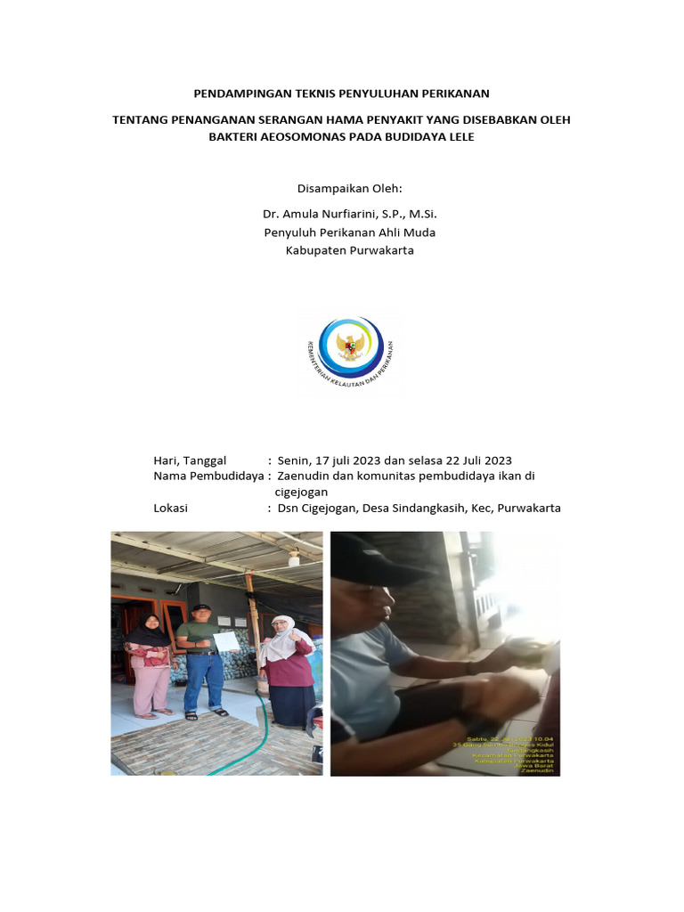 Penanganan Hama Penyakit Yang Disebabkan Oleh Bakteri Aeosomonas Pada ...