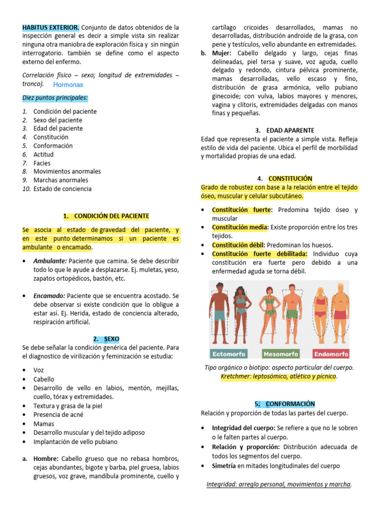 Habitus Exterior | PDF | Músculo esquelético | Tejido adiposo