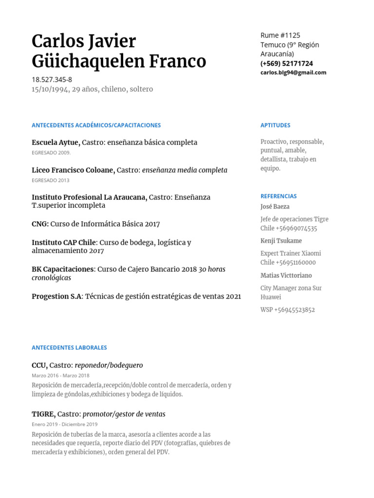 CV Carlos 2024 | PDF