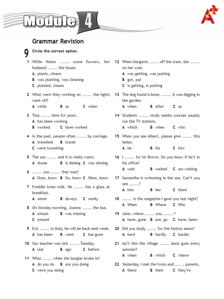 Grammar Exercise Answer Key | PDF