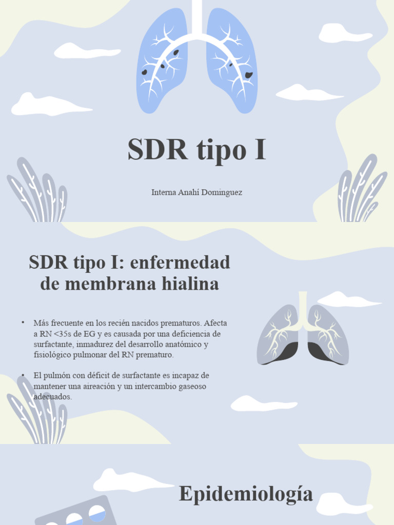 SDR Tipo 1 | PDF | Especialidades Medicas | Medicina CLINICA