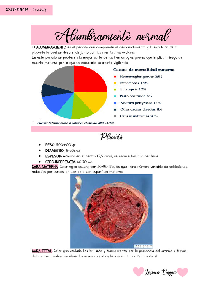 Alumbramiento normal | PDF | Parto | Placenta