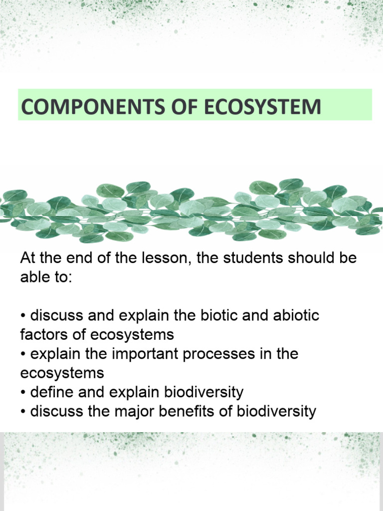 Chapter2 Components of Ecosystem | PDF