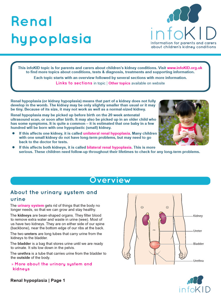 infoKID Renal Hypoplasia All | PDF | Self-Improvement | Wellness