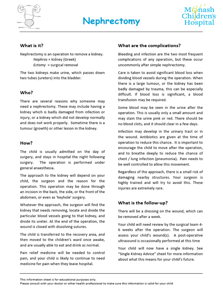 Understanding Nephrectomy for Kids | PDF