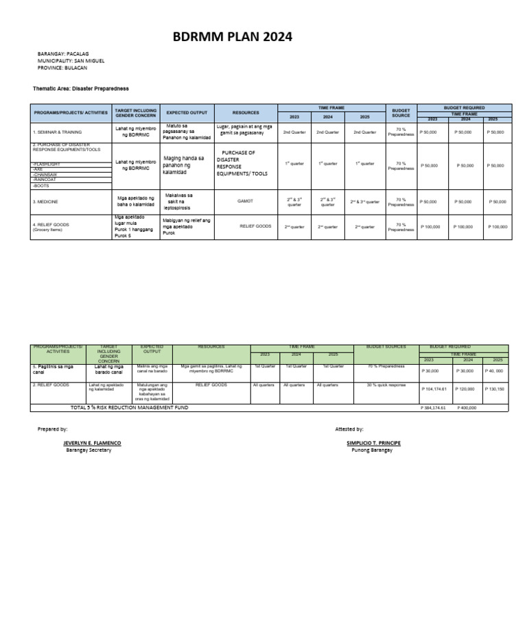BDRMM Plan 2024 | PDF