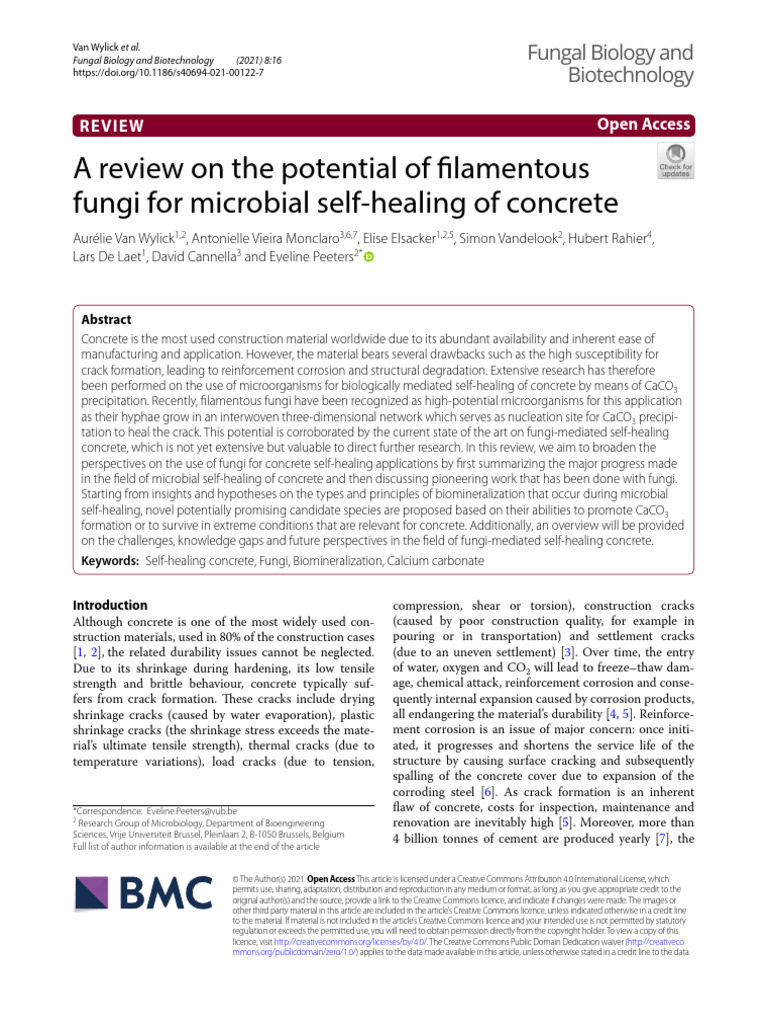 A Review On The Potential of Filamentous Fungi For Microbial Self ...