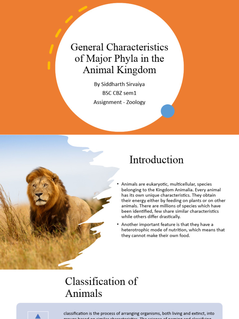 Major Phyla Characteristics in Animalia | PDF