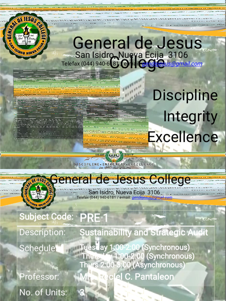 Sustainability & Strategy Course | PDF | Swot Analysis | Value Chain