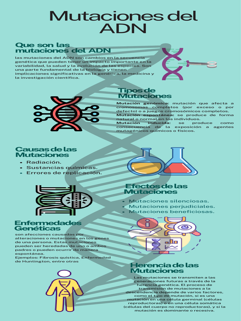 Que Son Las Mutaciones Del ADN | Descargar gratis PDF | Mutación | Adn