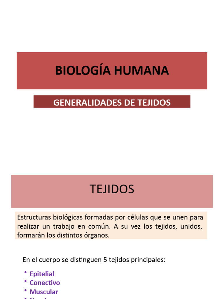 Generalidades de Tejidos | PDF