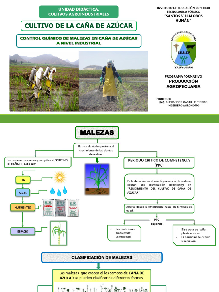 Control Químico de Malezas en Caña de Azucar | PDF