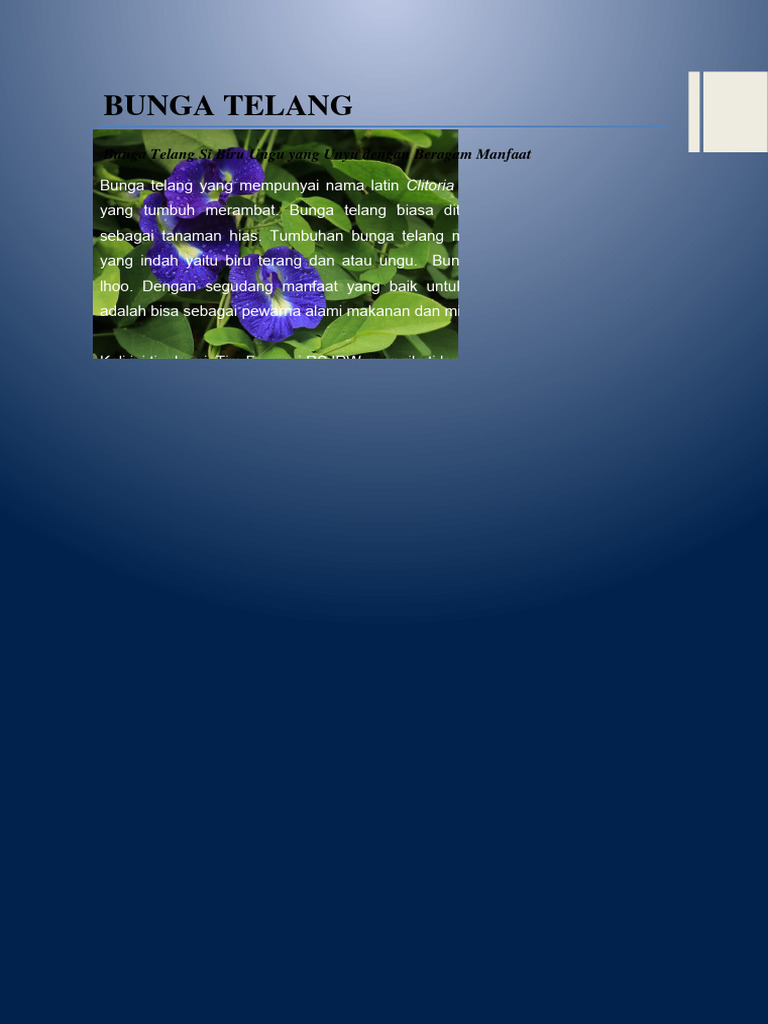 BUNGA TELANG - Cendol Buntel | PDF