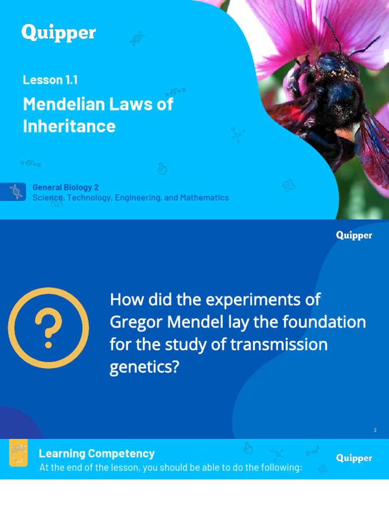 BIO2 11 - 12 Q3 Mendelian Law of Inheritance PF FD Final | PDF ...