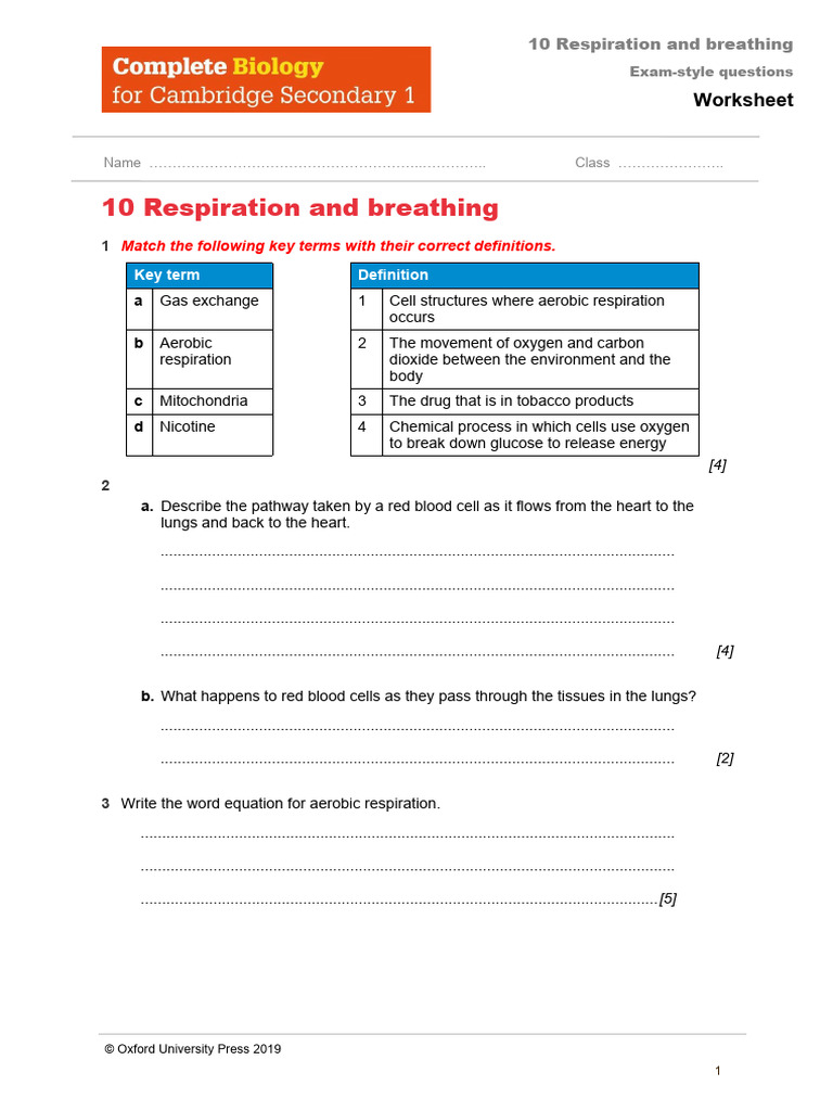 10 Respiration and Breathing-1 | PDF | Cellular Respiration | Oxygen