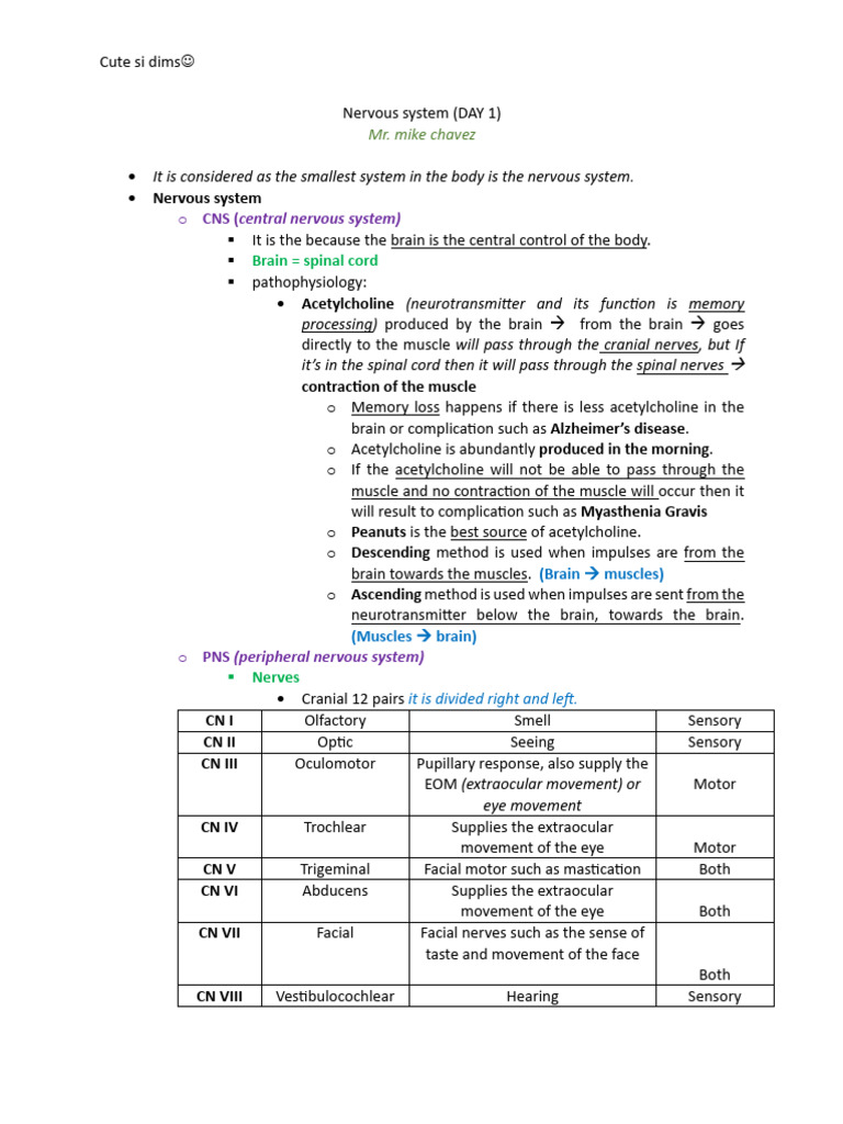 Neurologic Intensive Reviewer | PDF | Central Nervous System | Nerve