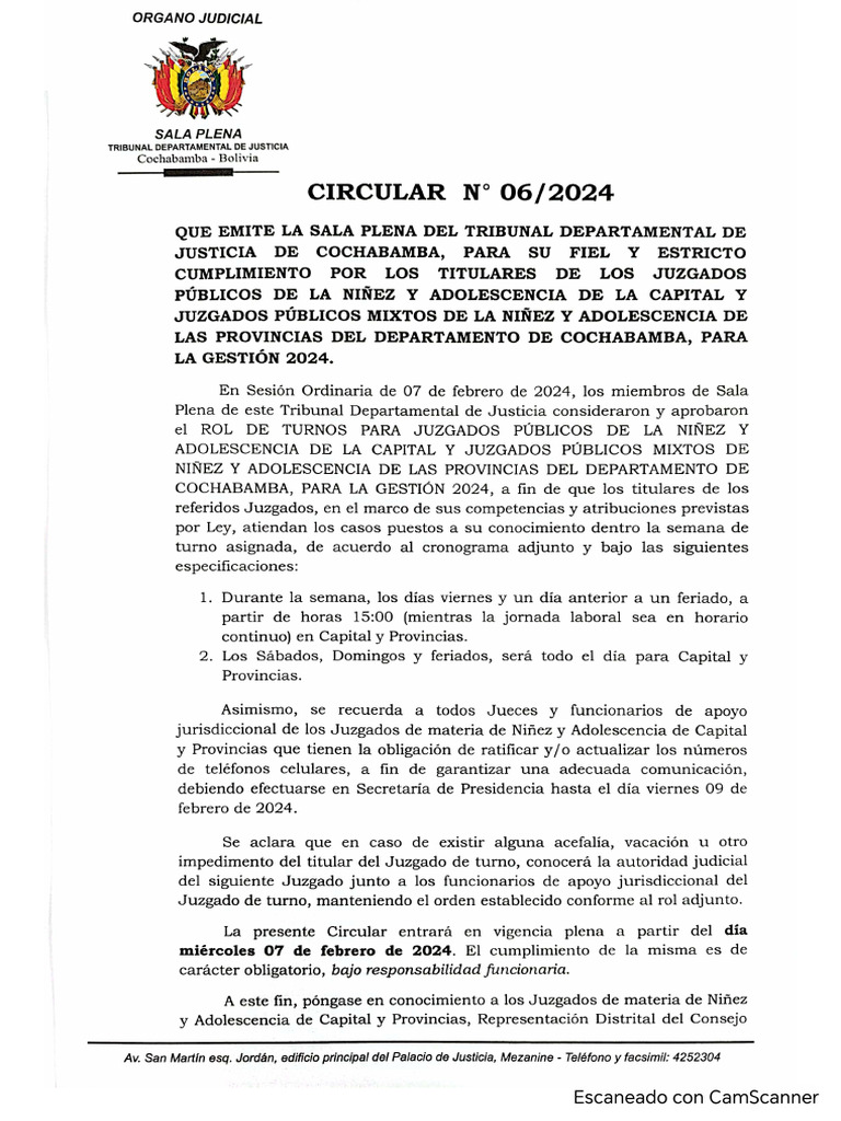 Circular Nro. 06-2024 | PDF