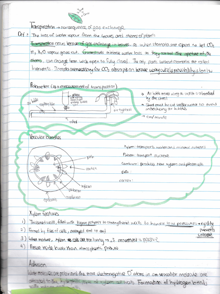 9 Plant Biology | PDF