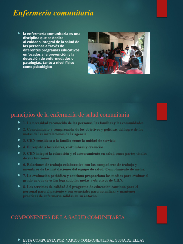 Enfermería comunitaria | PDF
