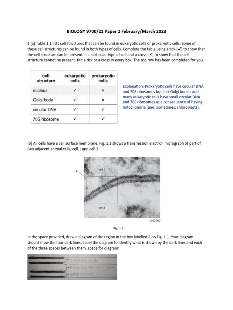 BIOLOGY 9700 Solution | PDF | Science & Mathematics