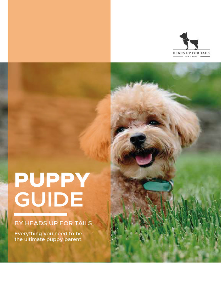Puppy Handbook With Watermark | PDF | Cooking, Food & Wine