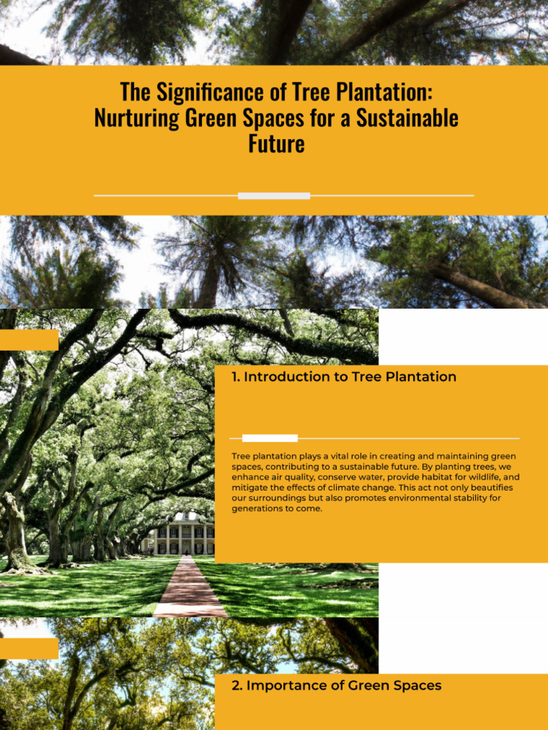 Importance of Tree Plantation | PDF
