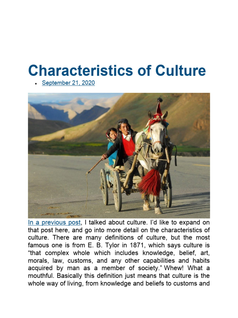 Key Characteristics of Culture | PDF | Human Skin Color | Counterculture