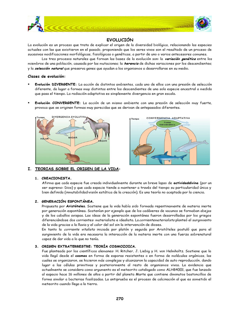 SECCION 13_rev | PDF | Evolución | Seleccion natural