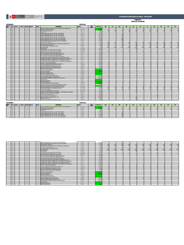 f3 - Formato Poi 2024-2026 - PN Aurora - Gestion Uas - Meta 72 Uas | PDF