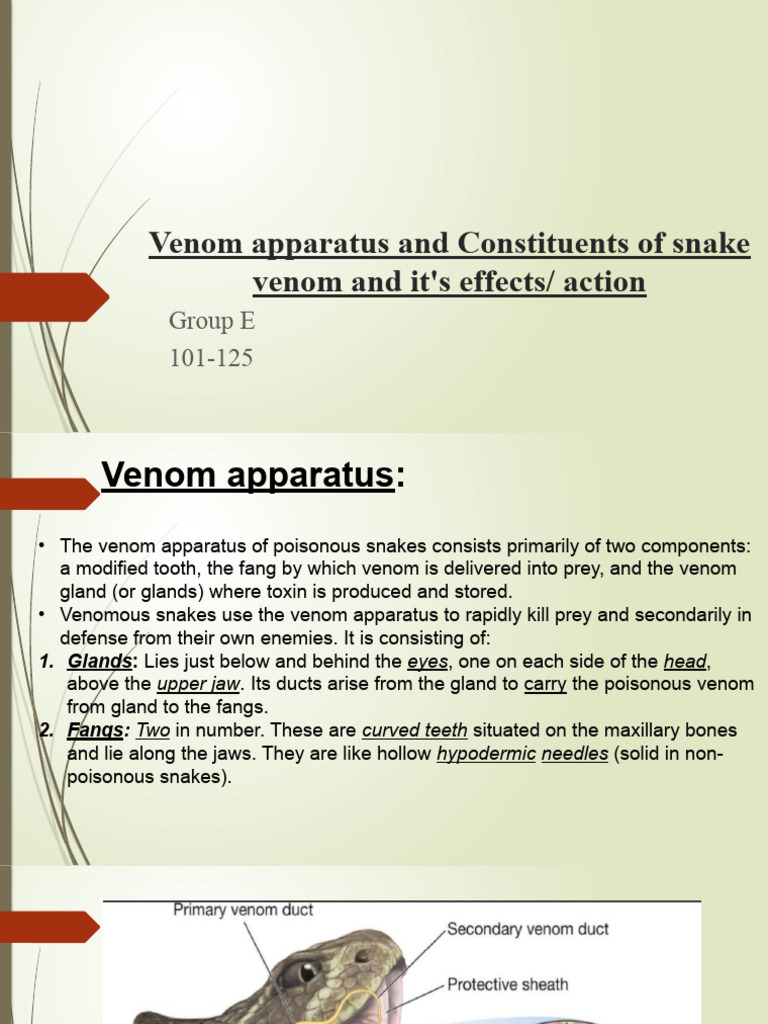 Snake Venom: Composition and Effects | PDF | Venom | Medical Specialties