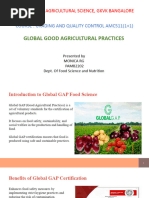 GRASP Checklist v2 0 Oct22 Protected en | PDF | Audit | Justice