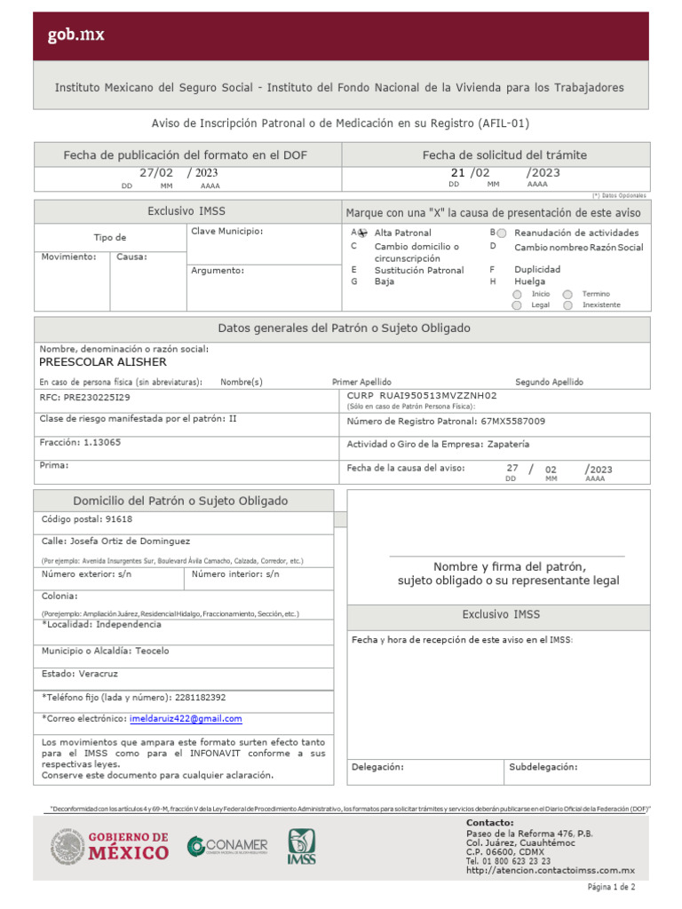 FORMATOS IMSS ALISHER | PDF | Ciudad de México