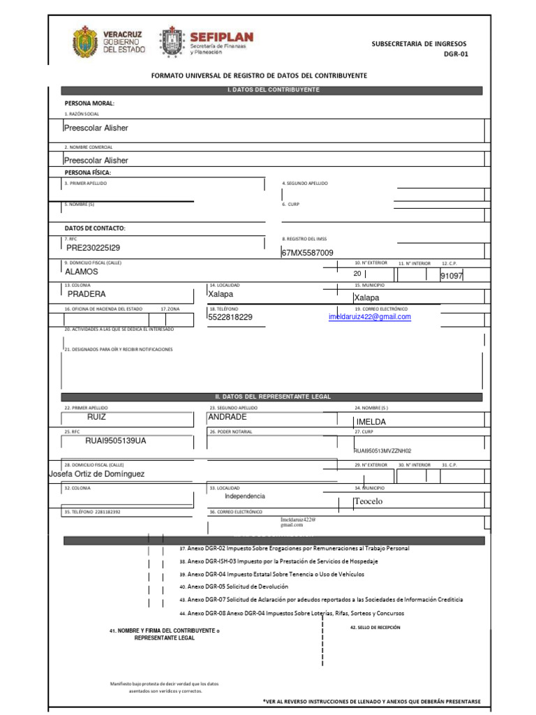 Formatos Sefiplan Alisher Pdf