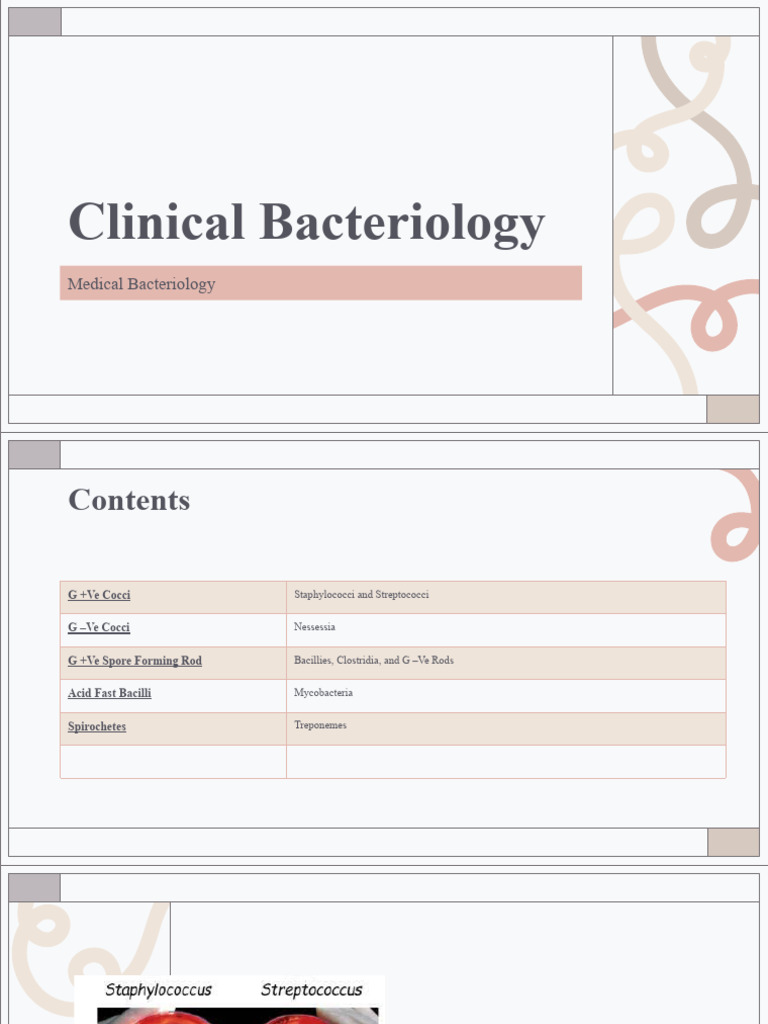 Clinical Microbiology (Bacteria) | PDF | Streptococcus | Staphylococcus