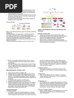 Amino Acids Classification Chart | PDF