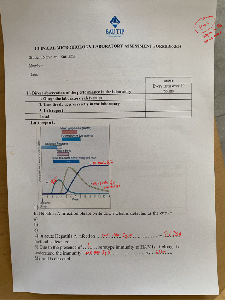 Micro Lab | PDF