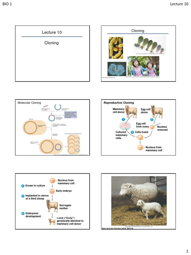 Lecture 10_Cloning | PDF