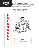 Ns Grade 7 Project - Memo | PDF | Potential Energy | Physics