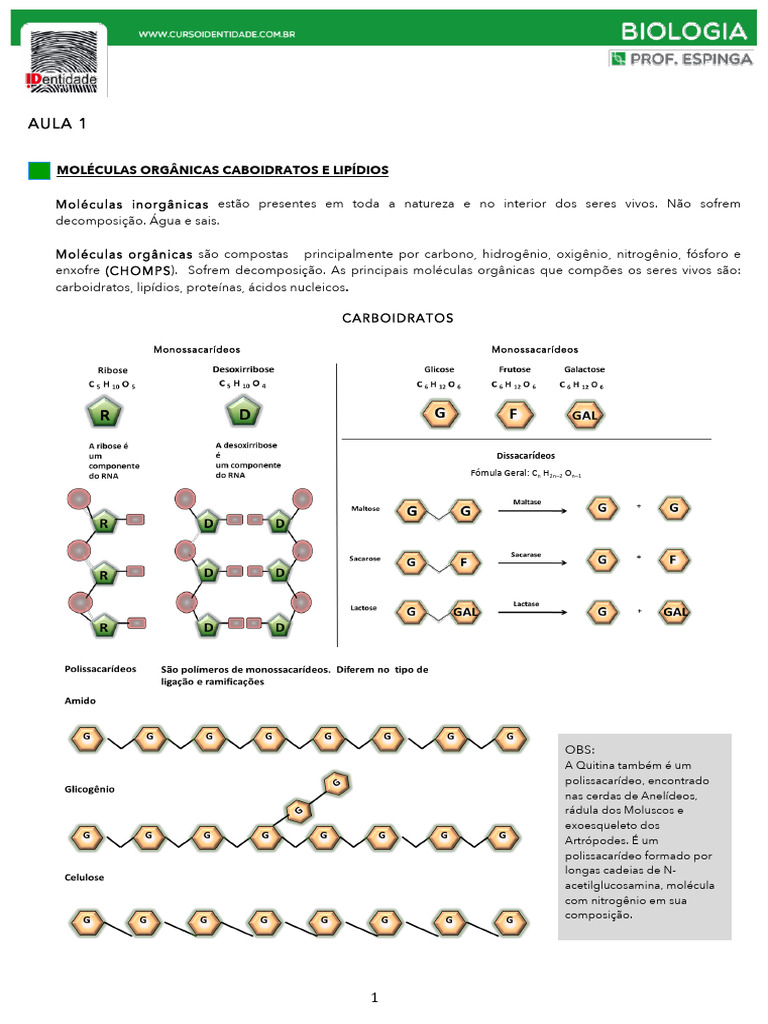 Biologia - LISTA 01 - MOLEÌ CULAS ORGAÌ NICAS, CARBOIDRATOS E LIPIÌ DIOS (Espinga) 2022 VF | PDF ...