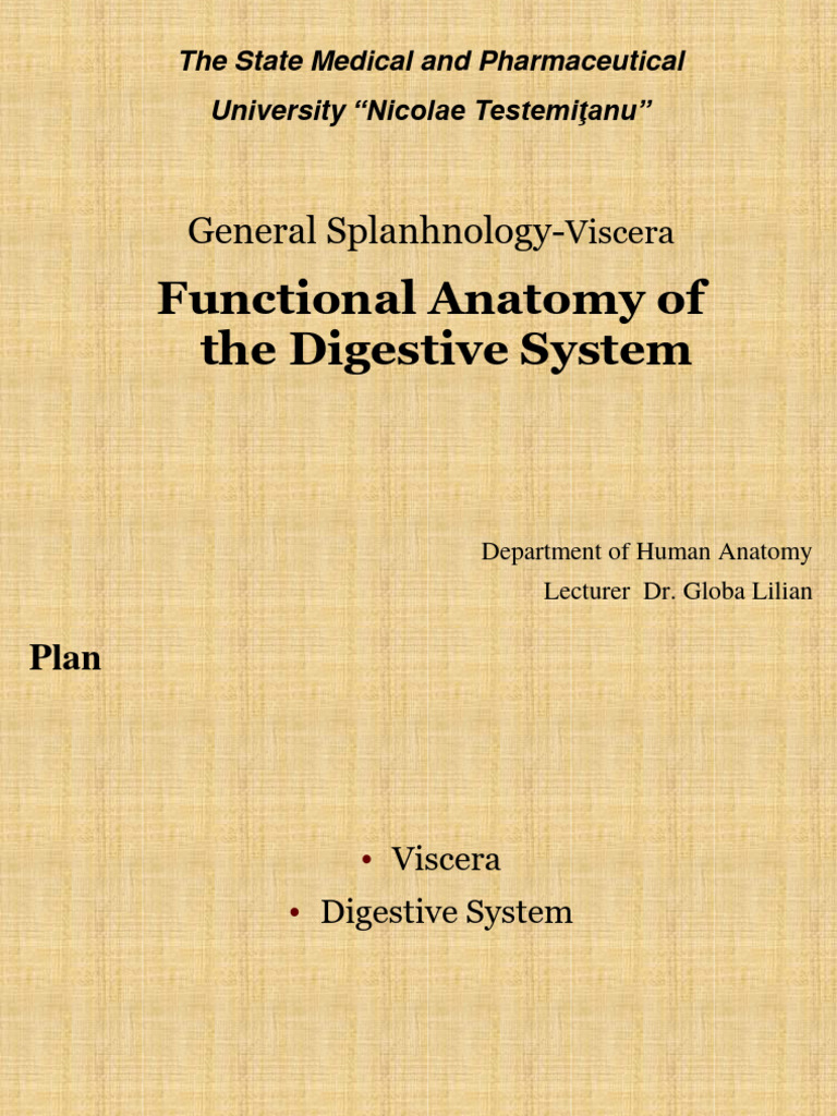 Anatomy Digestion | PDF
