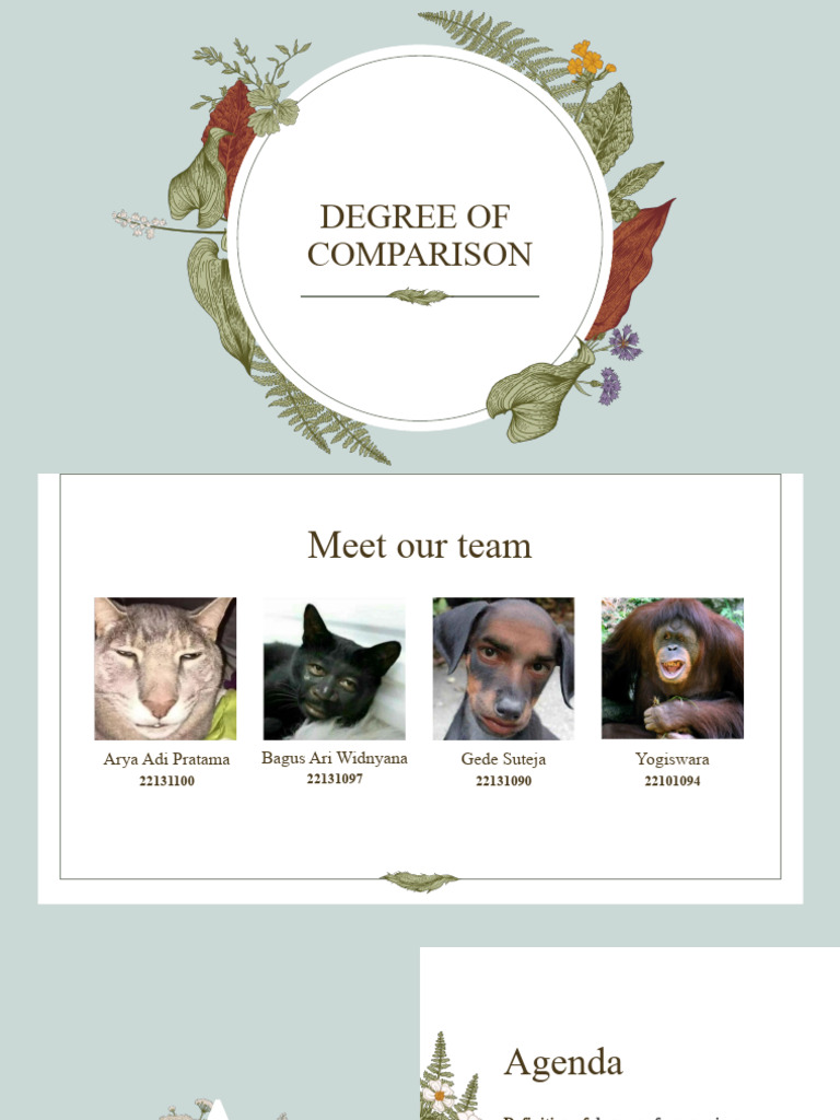 Degree of Comparison | PDF