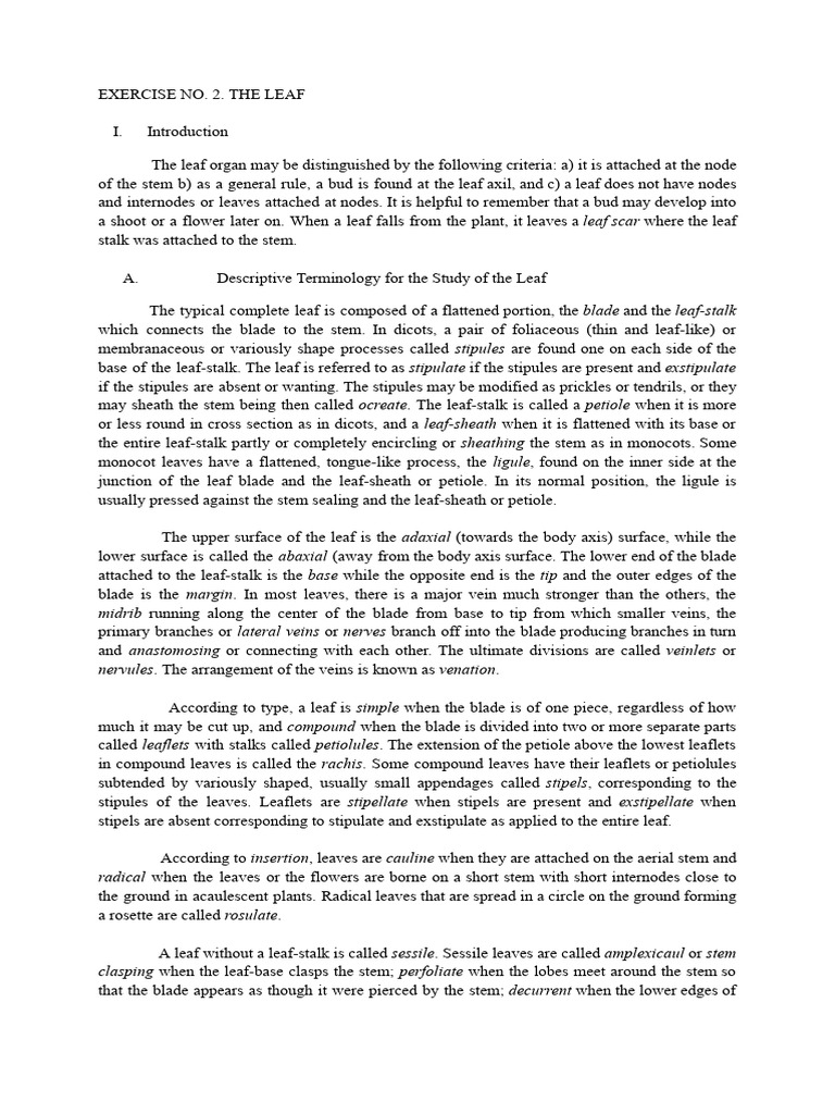 Encoded Exercise No. 2 the Leaf (1) | PDF