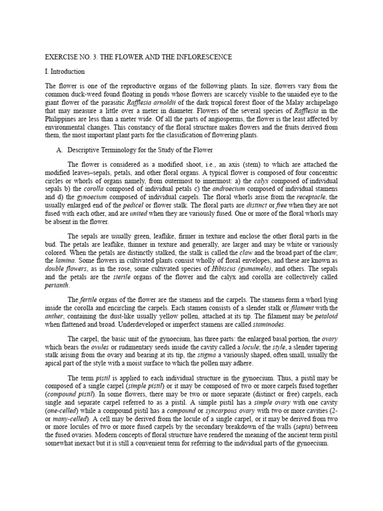 Understanding Flower Structure and Inflorescence | PDF