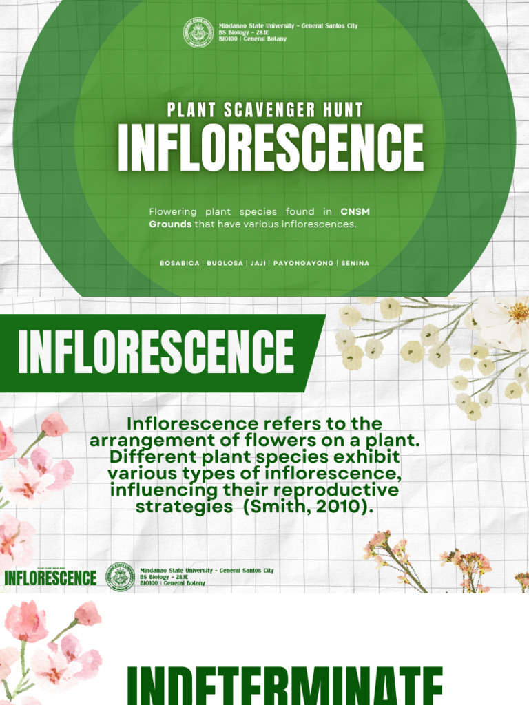 g8 Bio100 Inflorescence | PDF