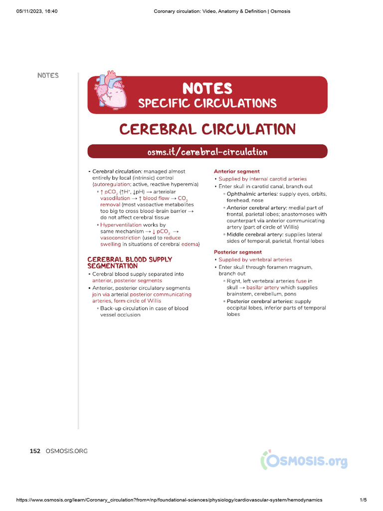 Coronary circulation | PDF