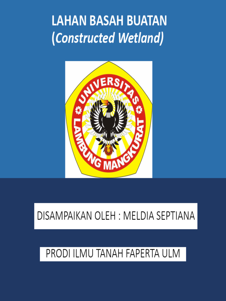 Lahan Basah Buatan | PDF